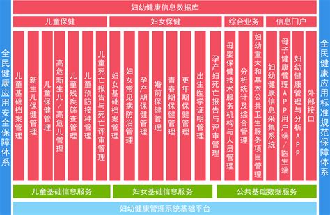 Tidb数据库在某省妇幼业务系统应用的实践 Pingcap 平凯星辰