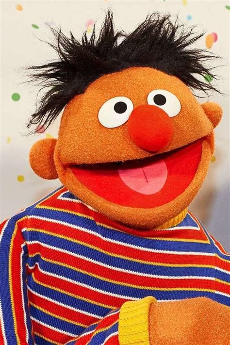 Ernie Bert And Co 50 Jahre Sesamstraße Im Fernsehen Computer
