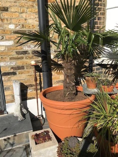 180 Litre Prestige Large Terracotta Style Pot Planter Freeflush Water