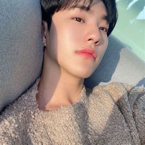 Seventeen Hoshi Bf Material In 2022 Hoshi Seventeen Hoshi Seventeen