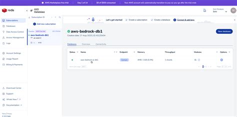 Github Spendyaalahow To Guide Aws Redis Free Trial