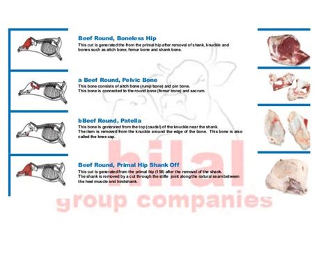 Beef Hind Quarter
