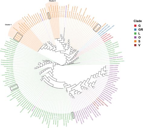 Frontiers Epidemiological And Genomic Analysis Of Sars Cov 2 In 10