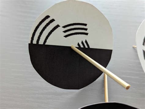 Make A Benham Disk The Homeschool Scientist
