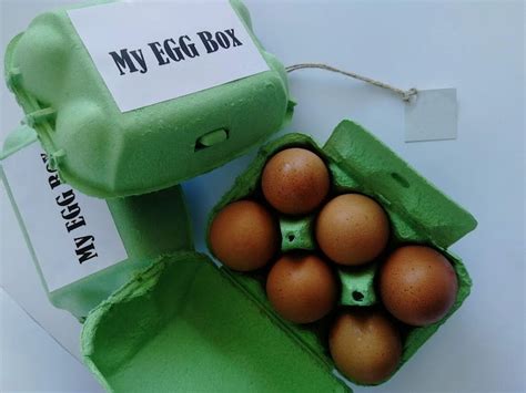 Can You Eat Egg Yolks Raw Risks And Benefits