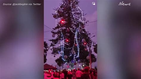 Port Macquarie Hastings Councils ‘epic Fail Christmas Tree Goes Viral