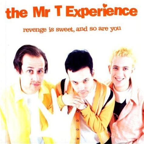 Pure Mattitude 100 Albums That Made Me Love Music 85 Mr T Experience