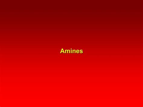 Amines Class 12 Ppt Cbse Pptx