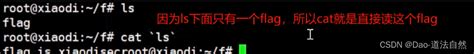 day58：web攻防 rce代码and命令执行and过滤绕过and异或无字符and无回显方案and黑白盒挖掘 webrce讲解 csdn博客
