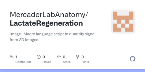 github mercaderlabanatomy lactateregeneration imagej macro language