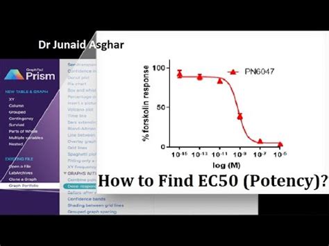 How To Determine Potency EC Value In Prism Step By Step GraphPad Prism Dr Junaid