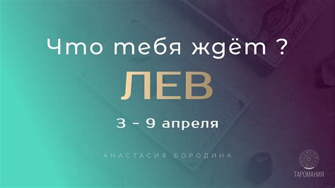 ЛЕВ Таро прогноз на неделю 3 9 апреля Youtube