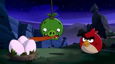 Angry Birds Gardening With Terence Fasci Garden