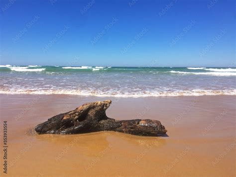 Tronco Sobre La Arena En La Orilla De La Playa Olas Rompen De Fondo