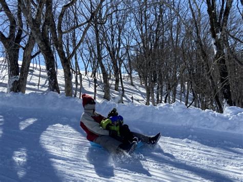 Snownet