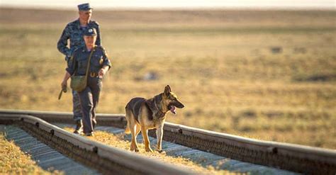 Bug Out Or Hunker Down During A Disaster You Need To Plan For Both