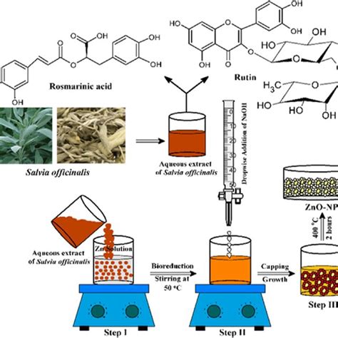 Green Synthesis Of Zno Nps By Using Salvia Officinalis Leaf Extract