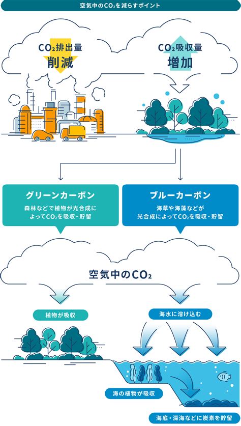 ワカメやコンブがco2を減らす？ Ecojin（エコジン）：環境省