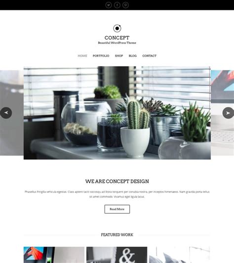 Concept WordPress Theme DDgpl Com
