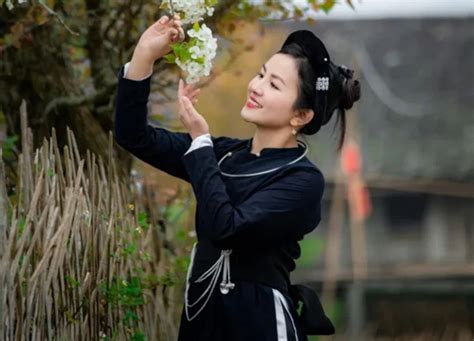 Cây mác cọt nở hoa trắng muốt ở Cao Bằng thu hút nhiều du khách tới chiêm ngưỡng chụp ảnh Du