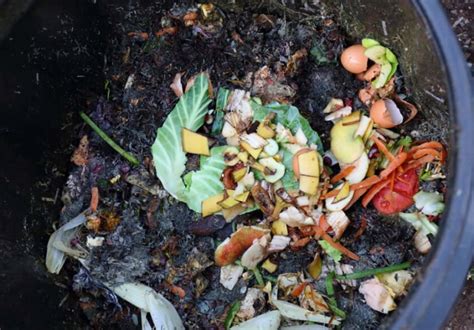 How To Speed Up Composting Tips That Work