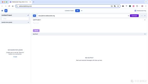 2025 年 Websocket 测试利器推荐：从轻量到专业服务软件什么值得买