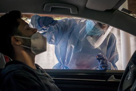 Ciencia y Salud Noticias y última hora Página EL MUNDO