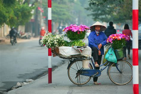 Xem Ngay Những Hình ảnh Xe đạp Chở Hoa Vô Cùng đẹp Và được Chụp Cực Kỳ