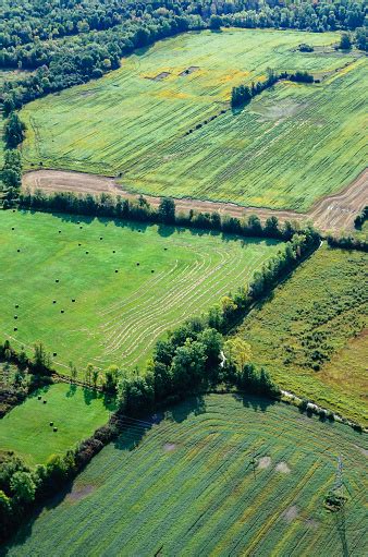 수직 농장의 공중 보기 고 프레임을 작성 하는 패치워크 필드와 숲 공중 뷰에 대한 스톡 사진 및 기타 이미지 공중 뷰 농장 온타리오 캐나다 Istock