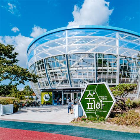 부천 가볼만한곳 상동호수공원 코스모스 식물원 수피아 놀거리 네이버 블로그