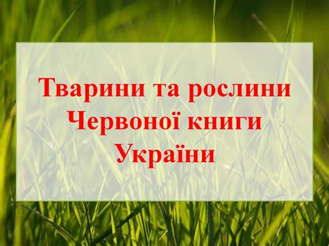 Тварини та рослини Червоної книги України презентация онлайн