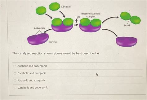 Solved The Catalyzed Reaction Shown Above Would Be Best