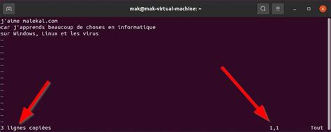 Comment Copier Couper Et Coller Dans Vim Malekal