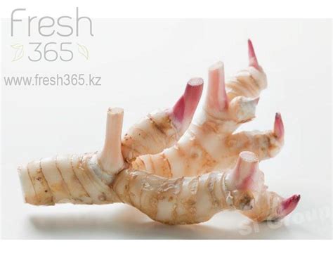Корень галангал / Galanga Root | fresh365 - свежая зелень и ягоды ...
