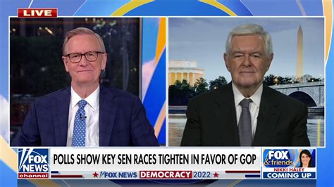 Gingrich: Democrats' 'radicalism' is a huge issue ahead of midterms ...