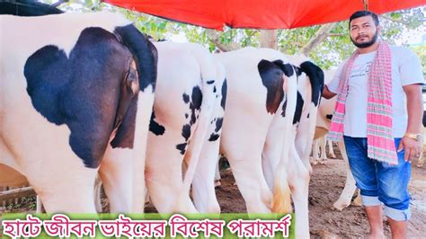 আজ৩১১০২৩রোজ মঙ্গলবার খামারি দের জন্য গুরুত্বপূর্ণ তথ্যএ সপ্তাহে জীবন