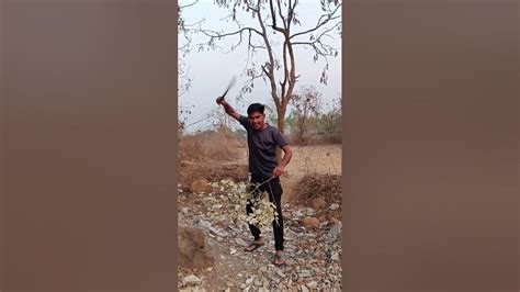 Bhuri Bhaisi Youtube