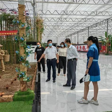 庞顺汉到杜郎口镇督导安全生产等工作 标准 自查 力度