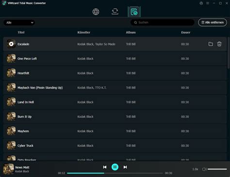 Tidal Dl Und Tidal Gui Downloader Erfahrungen And Alternative 2025