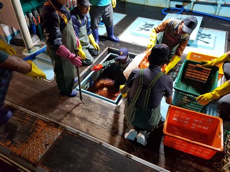 연일 개미집 Band