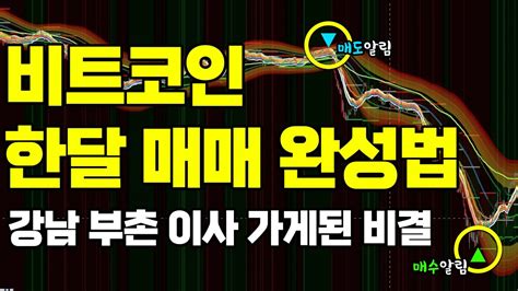 한달 뒤 강남 부촌으로 이사가는 비트코인 한달 매매 완성법 Youtube