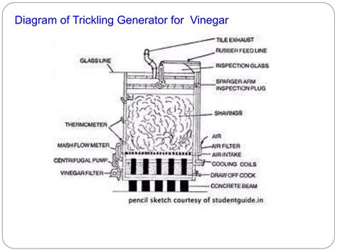 Acetic Acid Fermentation 1 Ppt