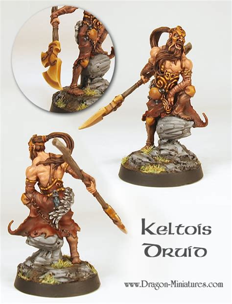 Coolminiornot Keltois Druid By Ragingbull