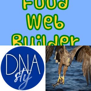 Free Homework Prep Food Webs 4 9B Free Games And Assessments