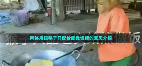 猴子只配给熊做饭是什么梗 网络用语猴子只配给熊做饭梗的意思介绍 牛特市场