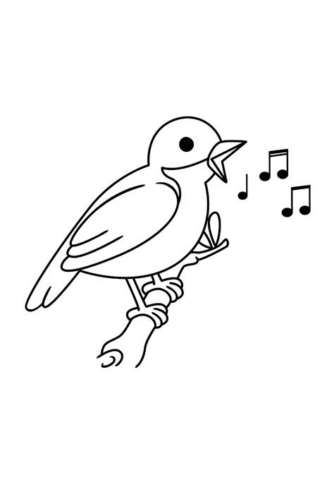 Passarinho Cantando Tudodesenhos Sketch Coloring Page