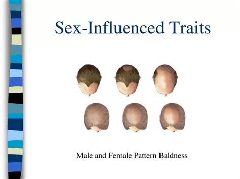 Ppt Sex Influenced Traits Powerpoint Presentation Free Download Id