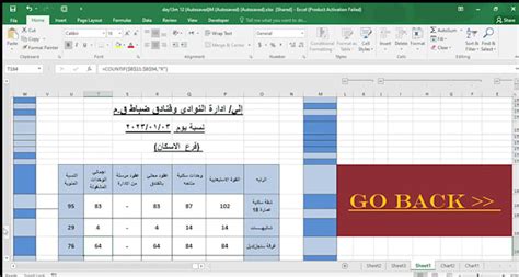 Create Very Smart Excel Sheets And Data Entry For Your Work By Ahmedessam Fiverr