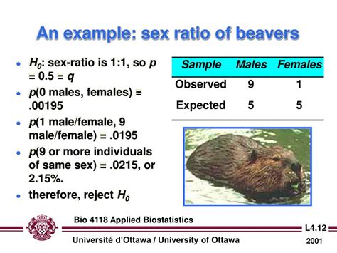 Ppt Lecture 4 Fitting Distributions Goodness Of Fit Powerpoint Presentation Id 7064719