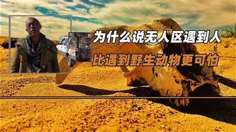 為什么說無人區遇到人，比遇到野生動物更可怕？看完你還敢去嗎？ Youtube